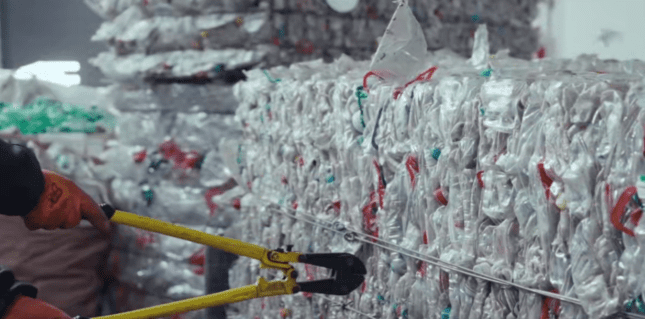 From Waste to Wear: Chinese Startup Revolutionizing Sustainable Fashion ...